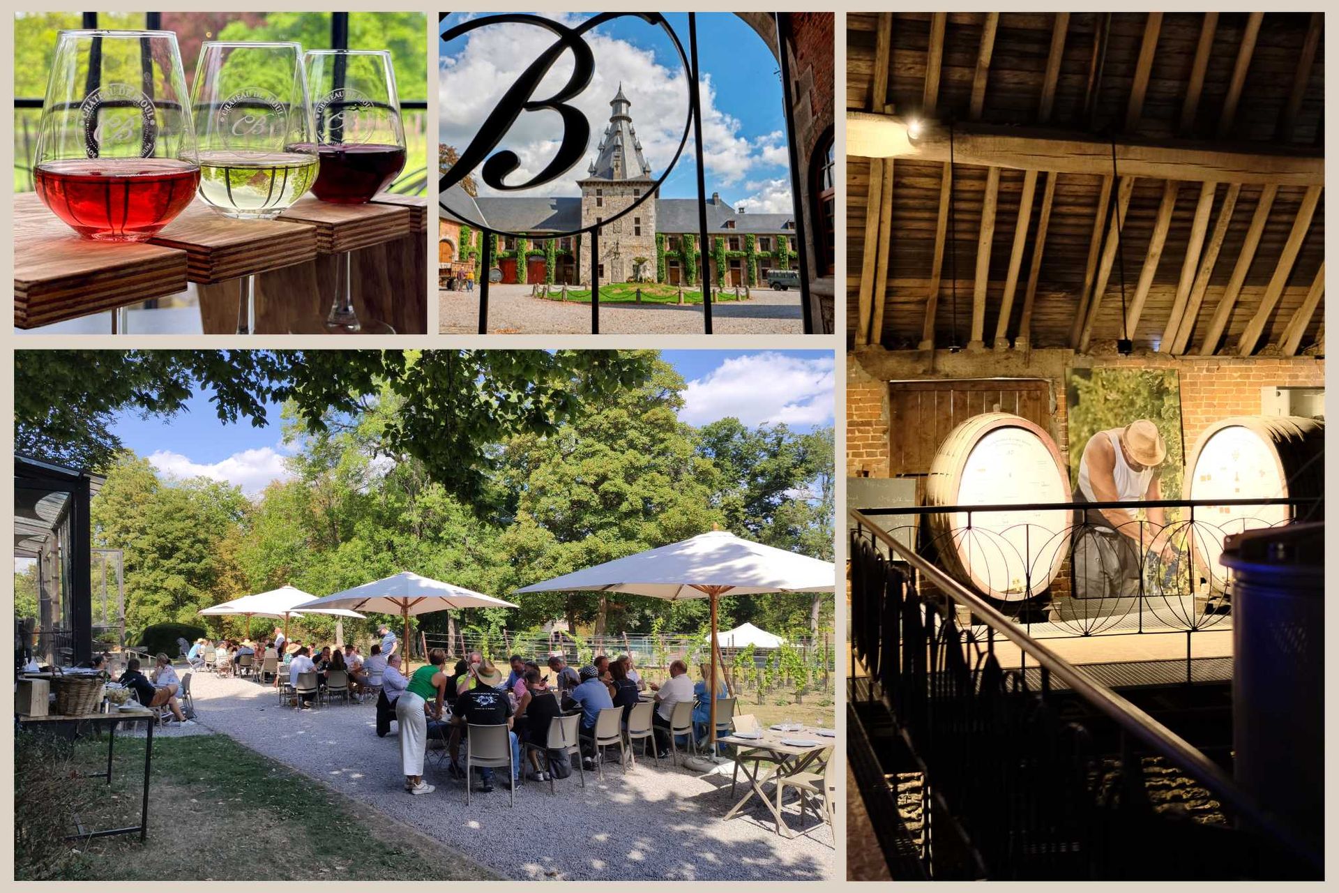 Château de Bioul - Vineyard - Belgian wines and crémants