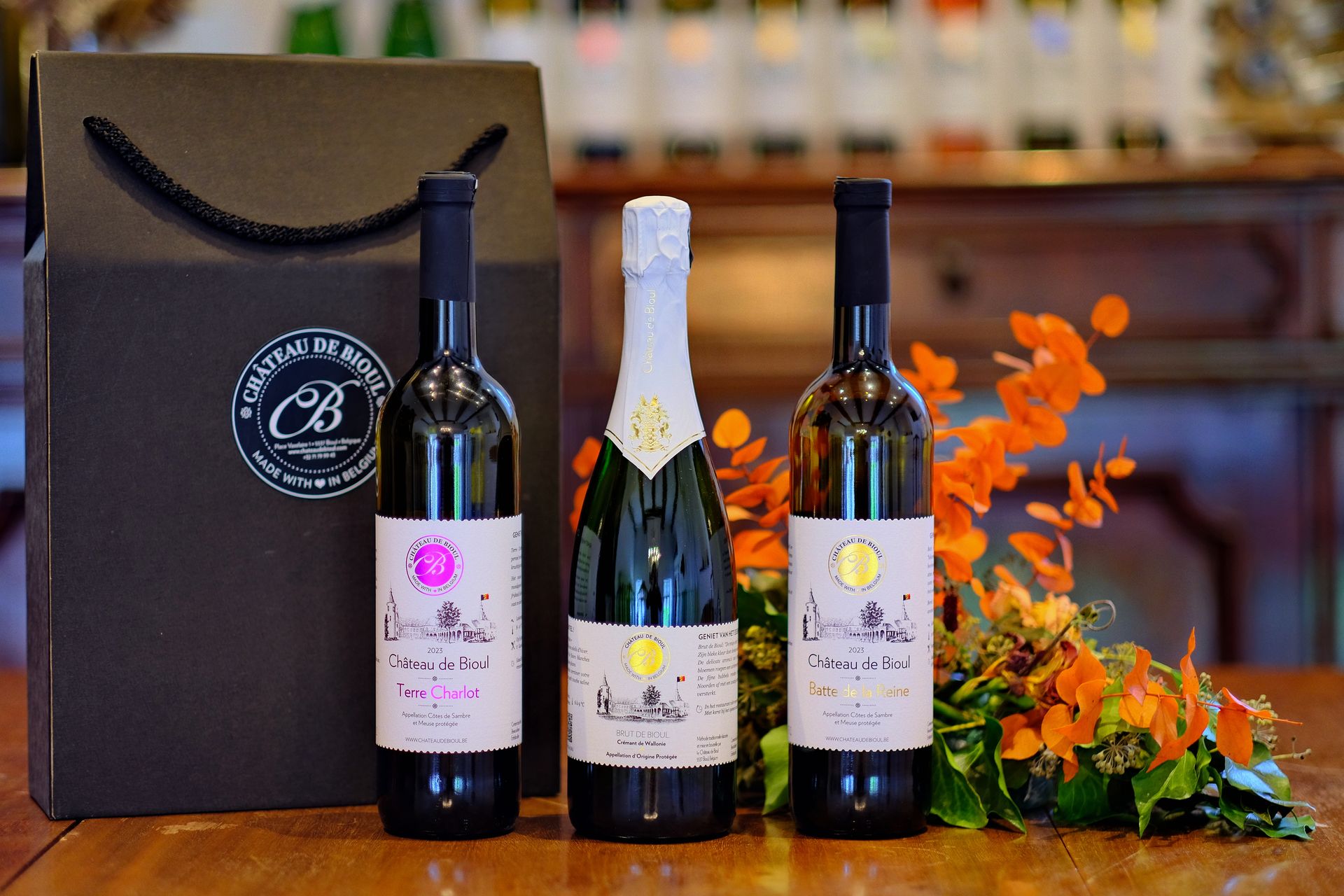 Château de Bioul - Vineyard - Belgian wines and crémants