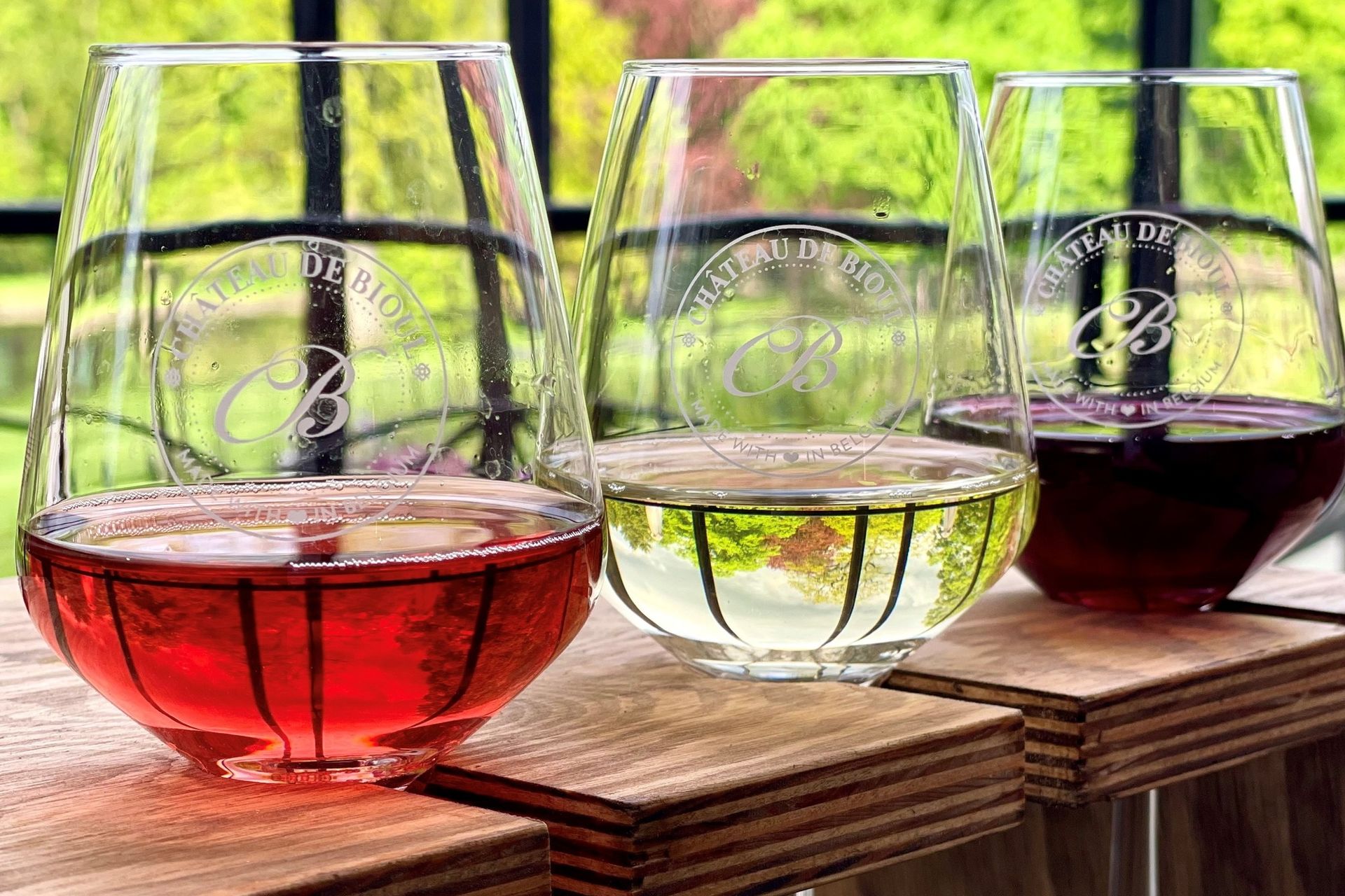 Château de Bioul - Vineyard - Belgian wines and crémants